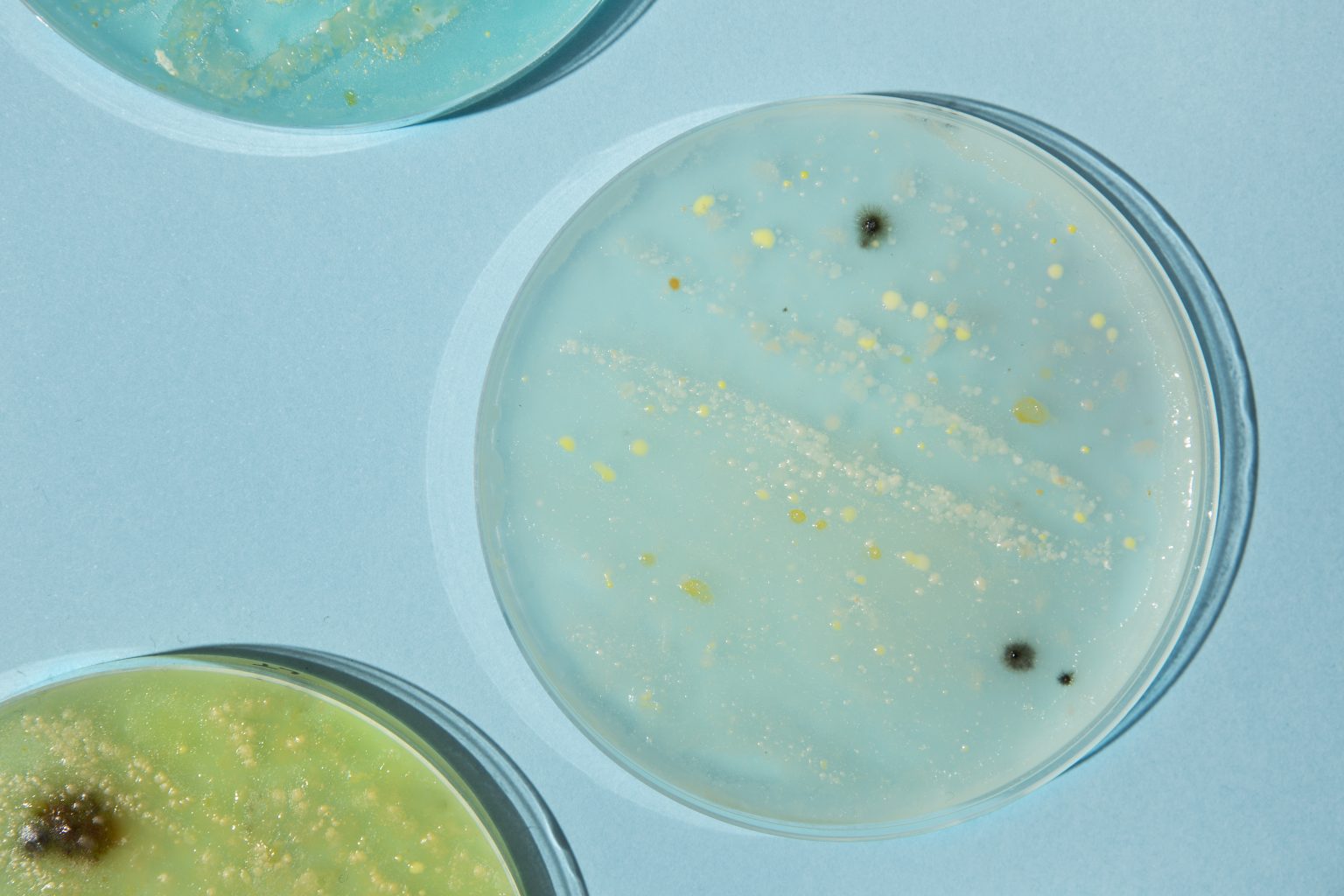 Microbiology – Institute of Molecular Biosciences, Mahidol University